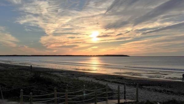 Susan Cole - Art for Sale | Pixels