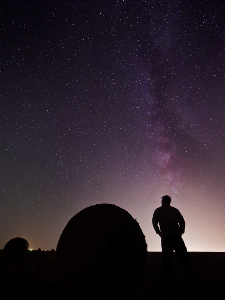 Scott Ackerman Art for Sale | Pixels