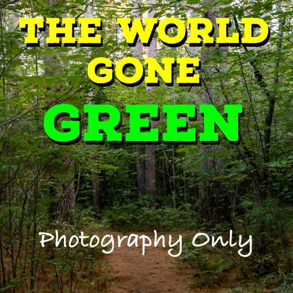 The World Gone Green Photography Only Online Art Contest | Pixels