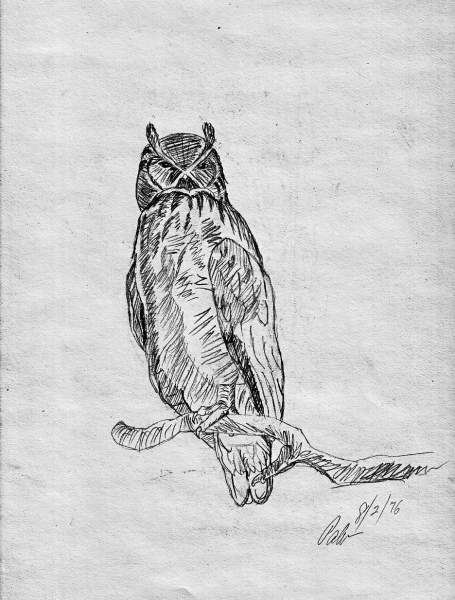 Online Art Contest - Graphite Black Pencil - Portrait Image Of Bird ...