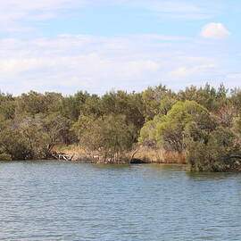 WATERY THINGS IN AUSTRALIA - Photography only Online Art Contest | Pixels