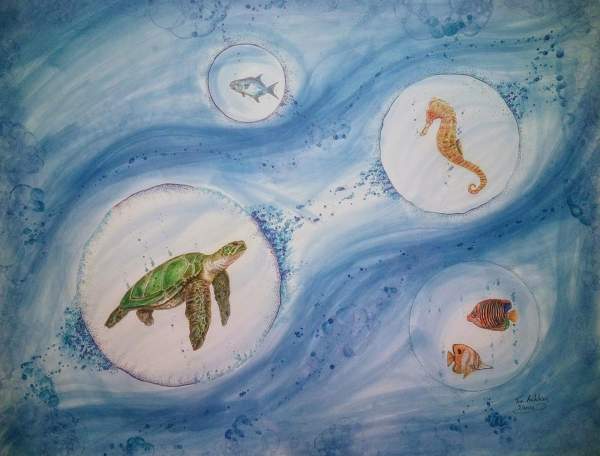 Online Art Contest - Your Turtle Drawing | Pixels